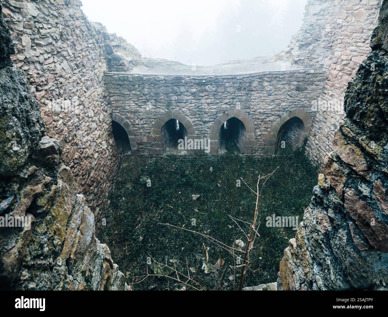 Interior of an abandoned castle with overgrown vegetation, arched stone ...