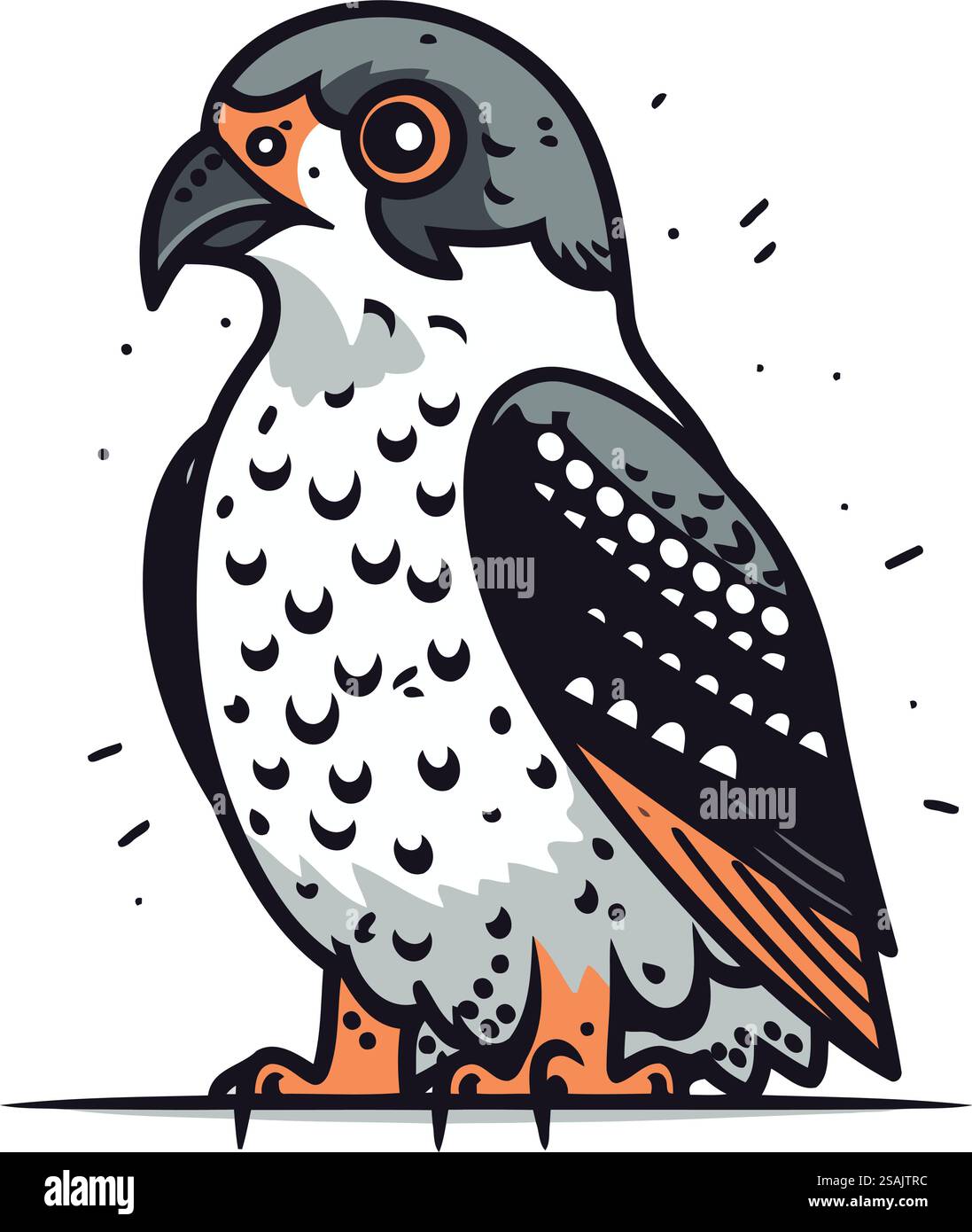 Peregrine falcon vector illustration. Bird of prey Stock Vector Image ...