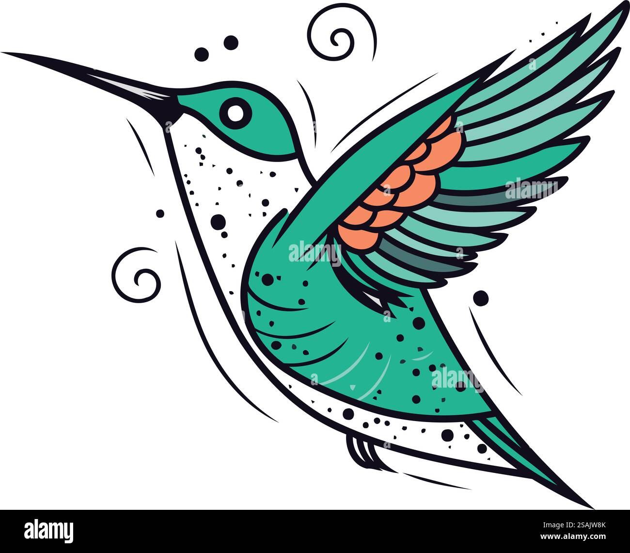 Hummingbird vector illustration. Hand drawn hummingbird isolated on ...