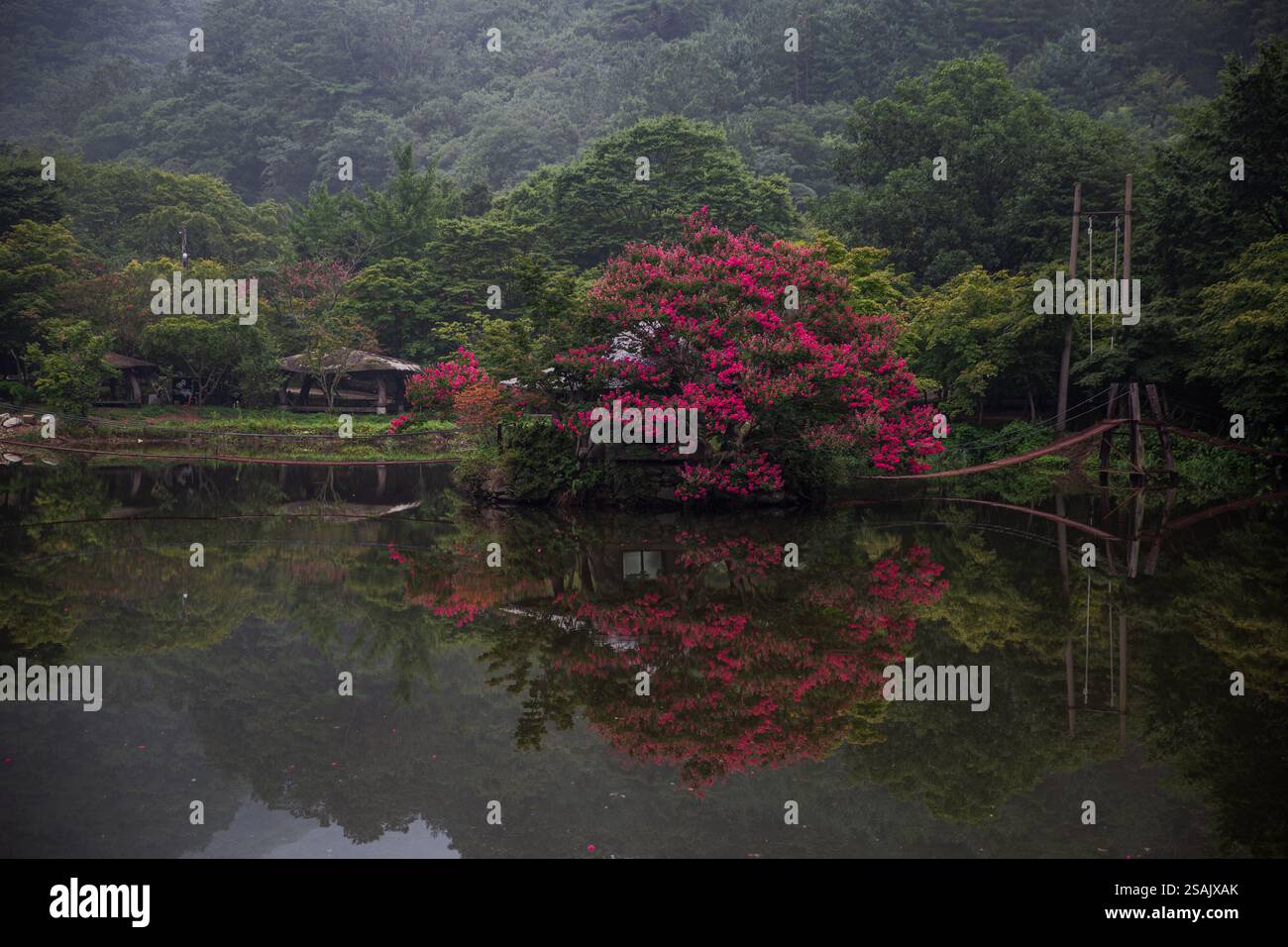 a lake reflecting a small garden with red flowers Stock Photo - Alamy