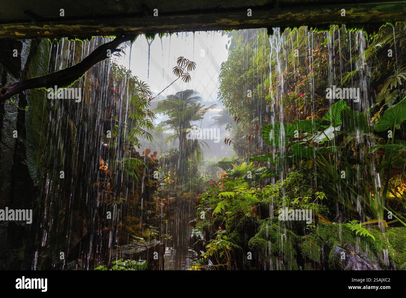 Cloud Forest, a conservatory complex in Singapore giving you the ...