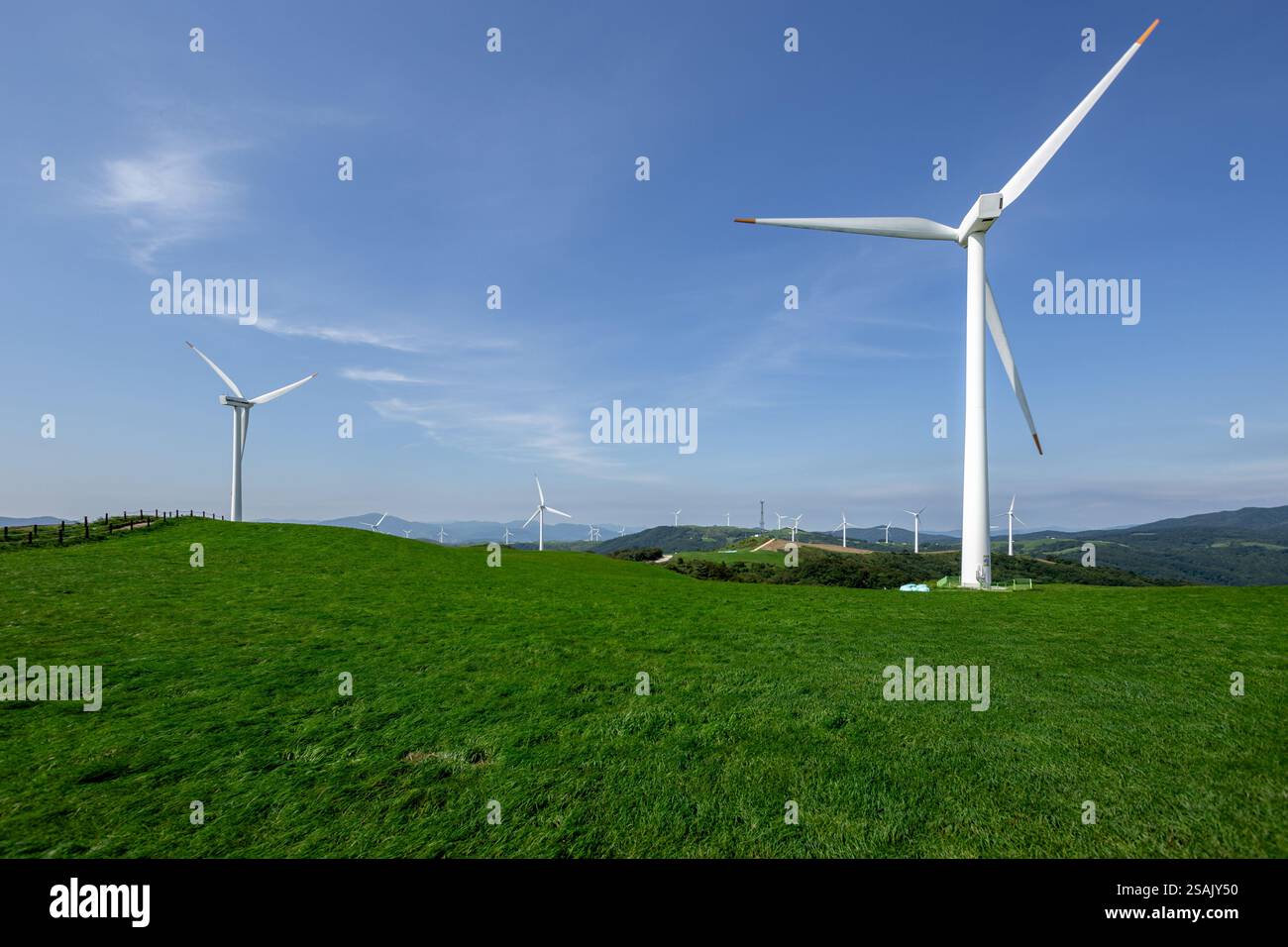 Clean pasture and wind farm landscape under blue sky Stock Photo - Alamy