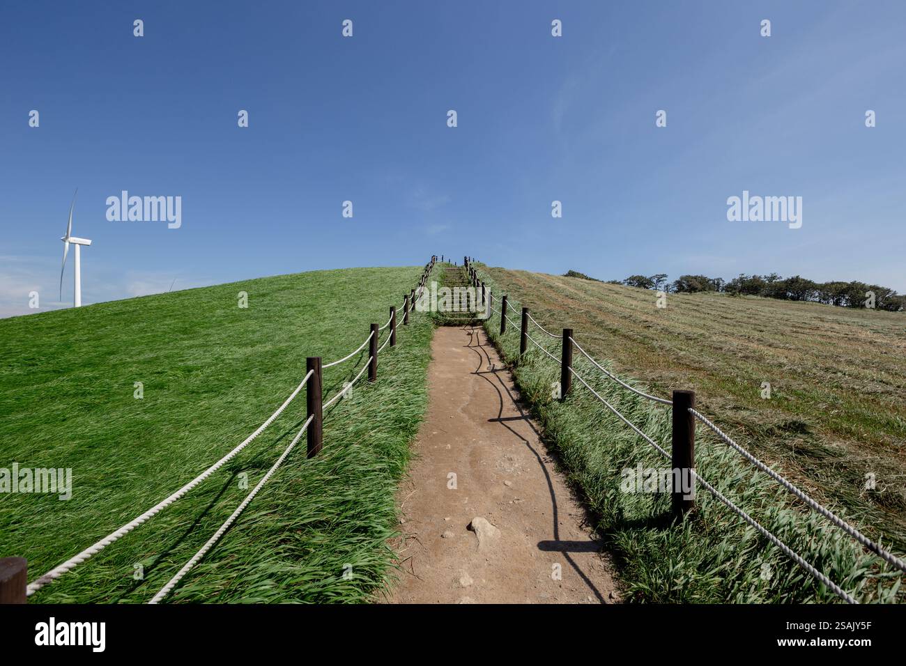 Wooden walkway on the hillside with green grass and blue sky Stock ...