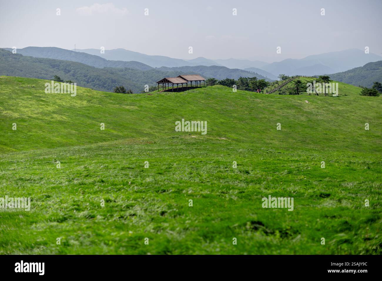 a ranch landscape with green pastures Stock Photo - Alamy