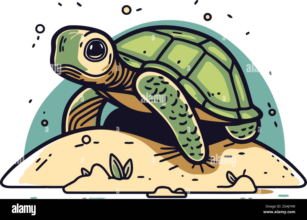 Cartoon turtle on the sand. Vector illustration isolated on white ...
