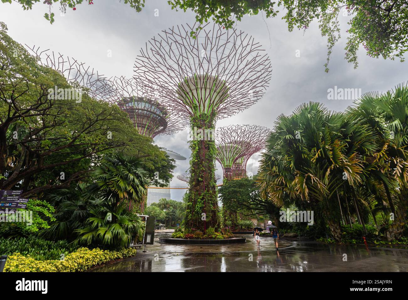 Supertree grove in Singapore is home to 18 trees, rising up to 50 ...
