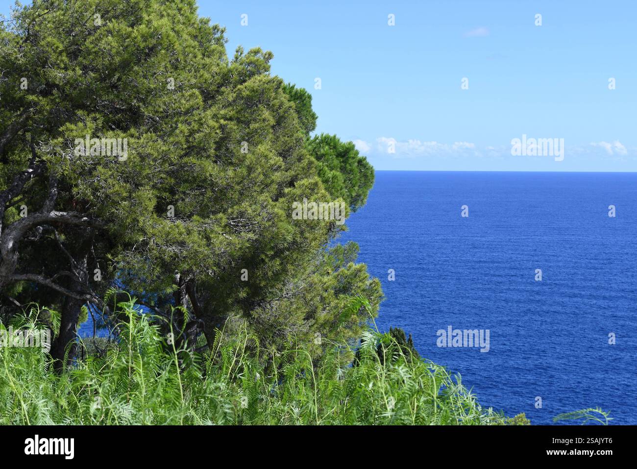 Mare, seaside, Montecarlo Monte Carlo, Principato di Monaco, Geografia ...