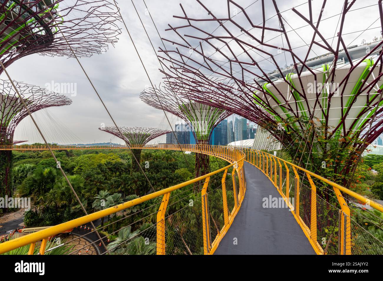 Supertree grove in Singapore is home to 18 trees, rising up to 50 ...