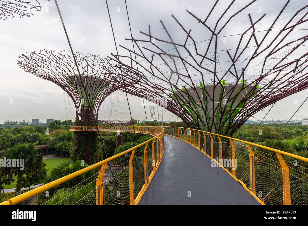 Supertree grove in Singapore is home to 18 trees, rising up to 50 ...
