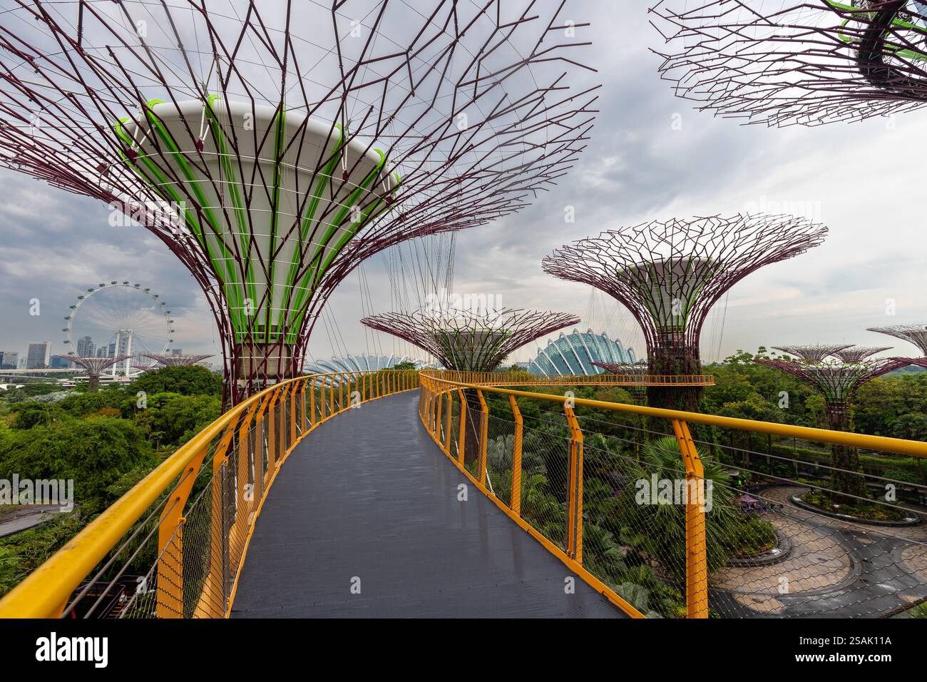 Supertree grove in Singapore is home to 18 trees, rising up to 50 ...