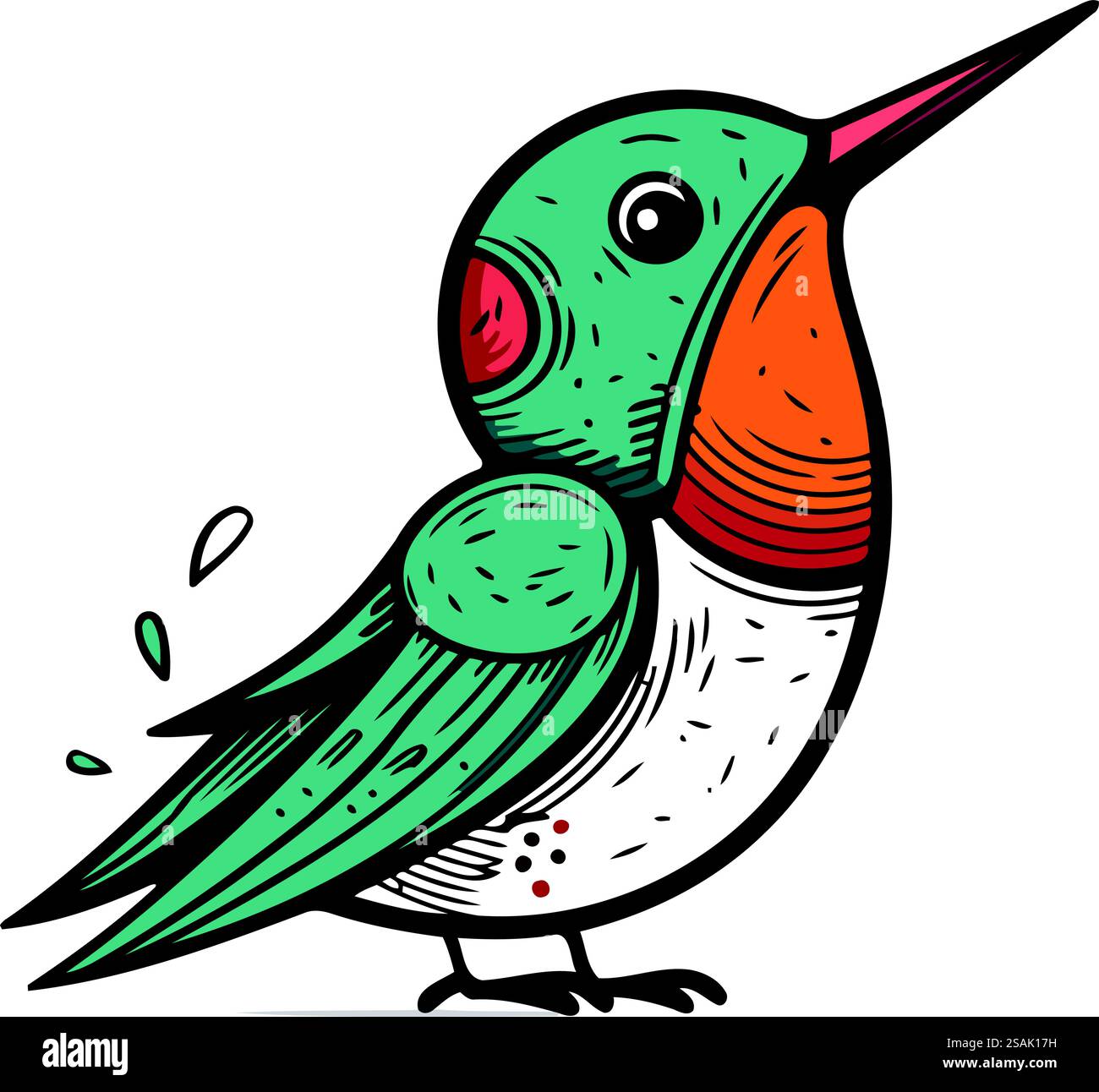 Hummingbird. Hand drawn vector illustration. Isolated on white ...