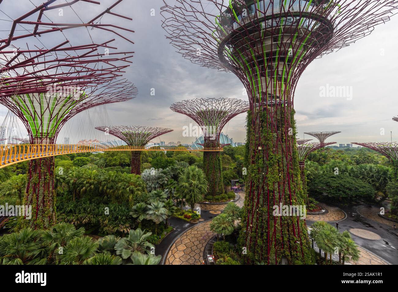 Supertree grove in Singapore is home to 18 trees, rising up to 50 ...