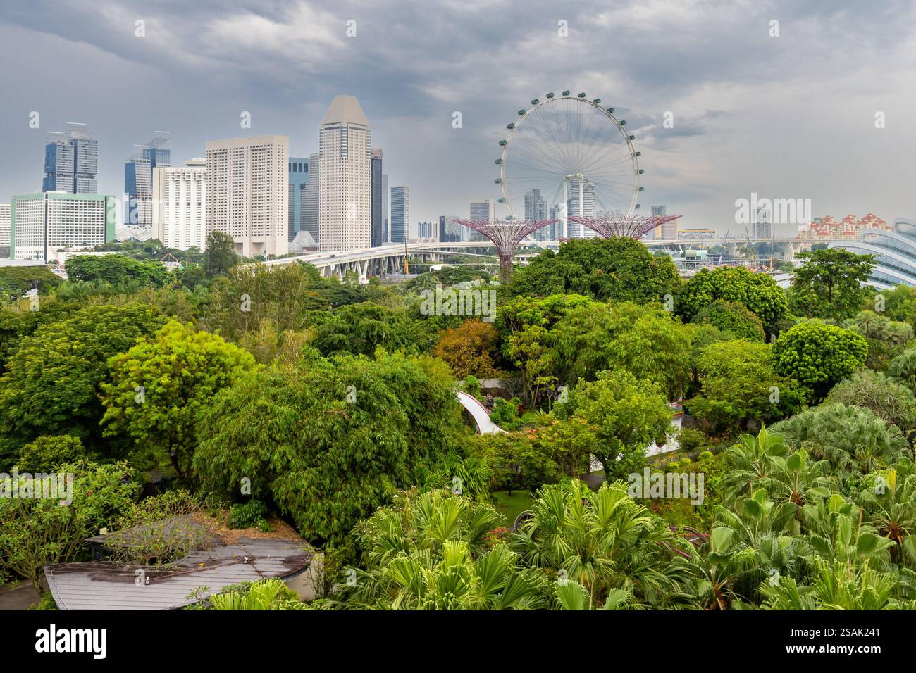 Supertree grove in Singapore is home to 18 trees, rising up to 50 ...