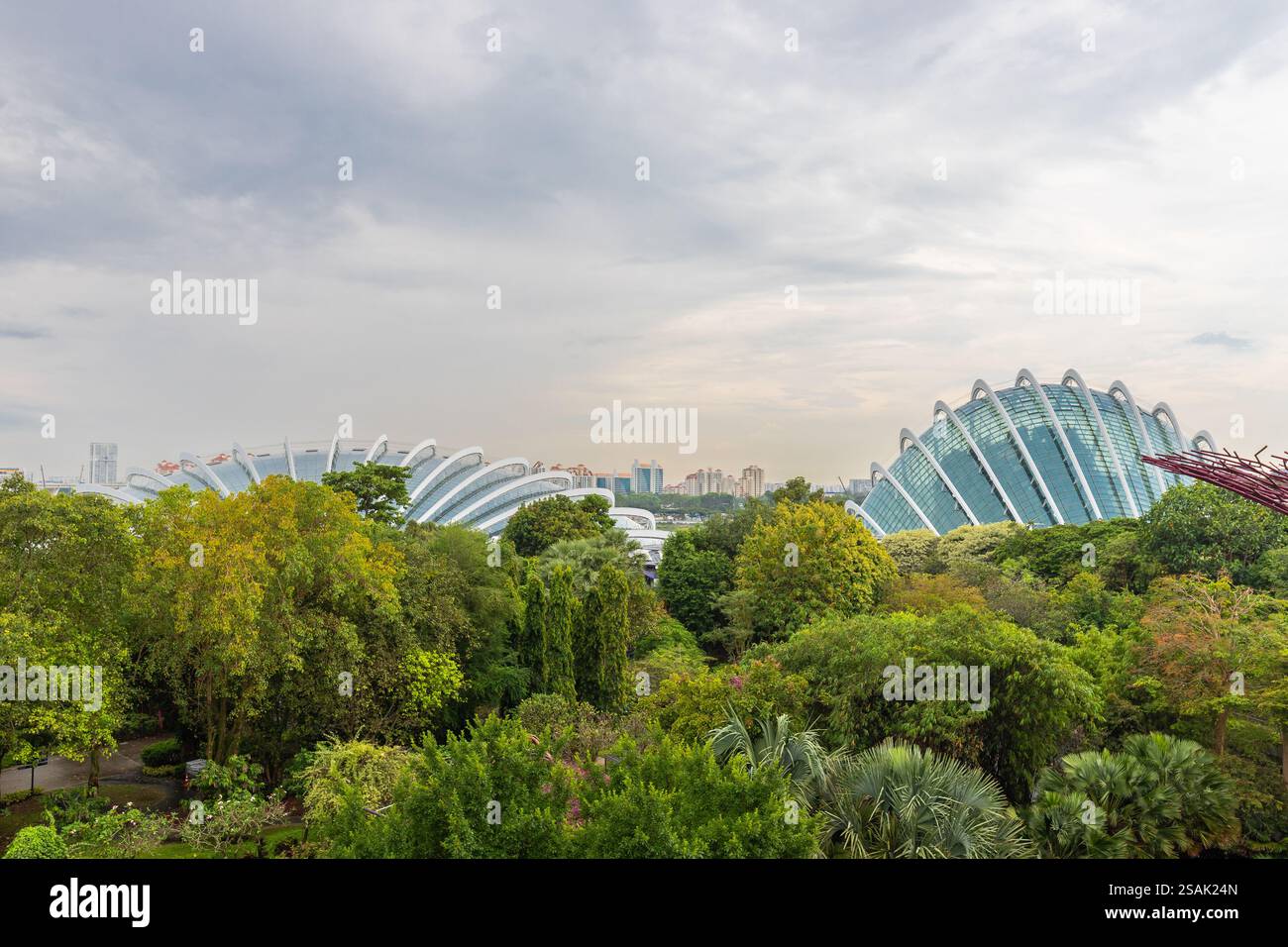Supertree grove in Singapore is home to 18 trees, rising up to 50 ...