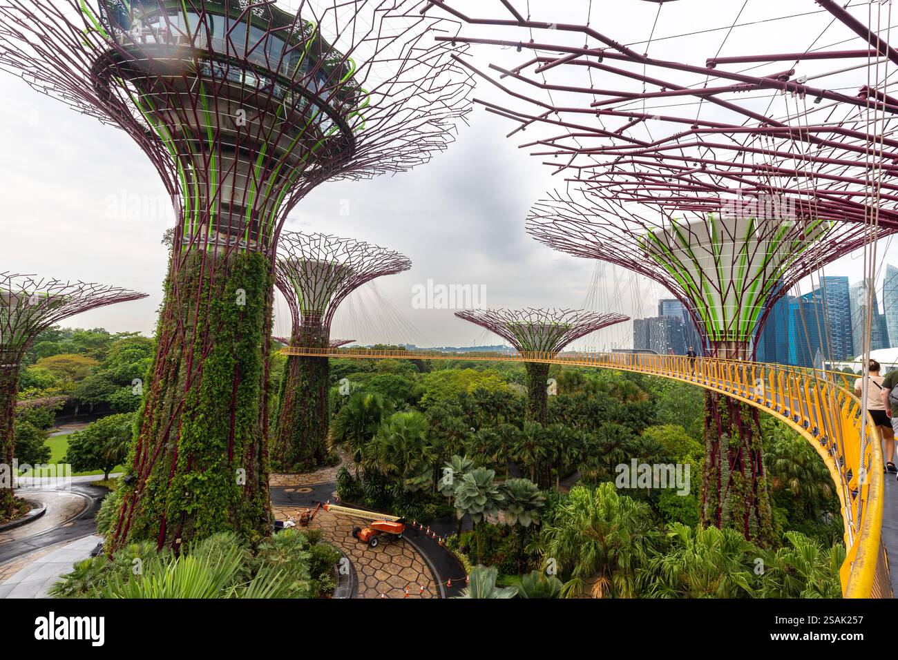Supertree grove in Singapore is home to 18 trees, rising up to 50 ...
