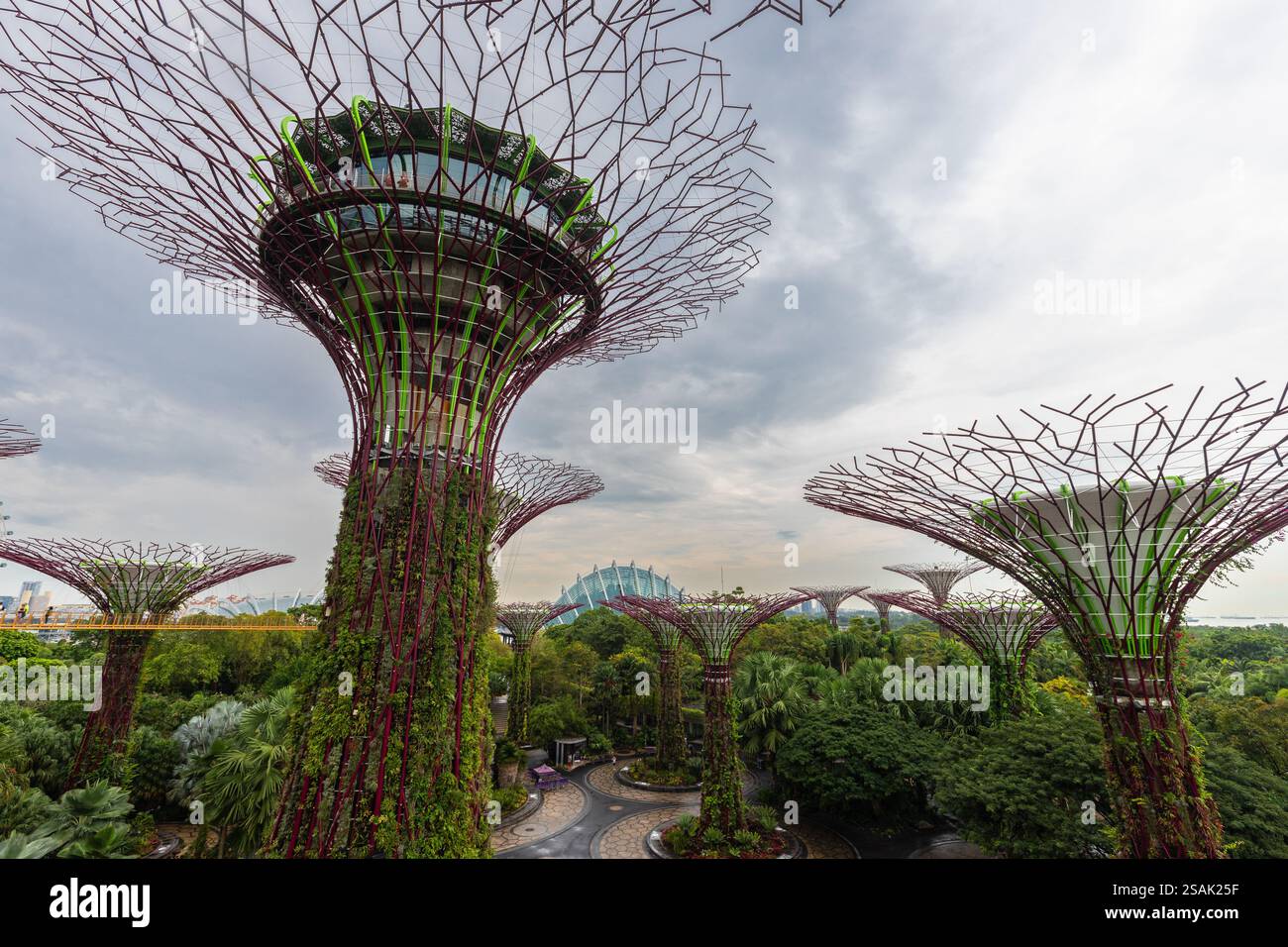 Supertree grove in Singapore is home to 18 trees, rising up to 50 ...