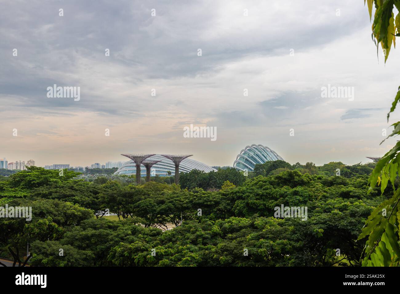 Supertree grove in Singapore is home to 18 trees, rising up to 50 ...