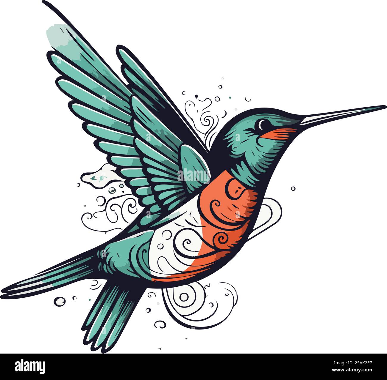 Colibri bird vector illustration. Hand drawn hummingbird with orange ...