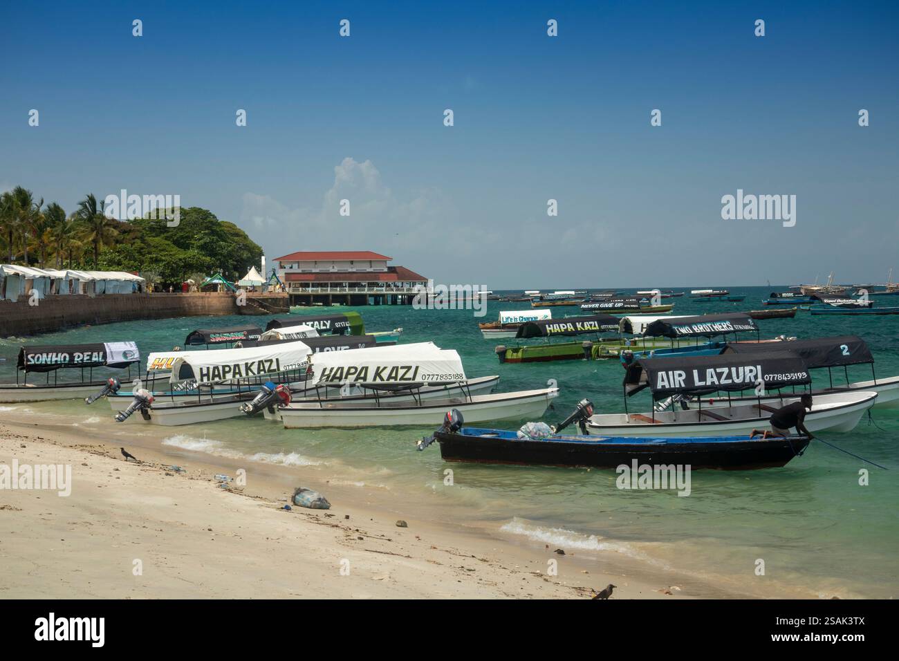Africa Tanzania, Zanzibar, Stonetown, Big Tree, Mzingani, Beach ...
