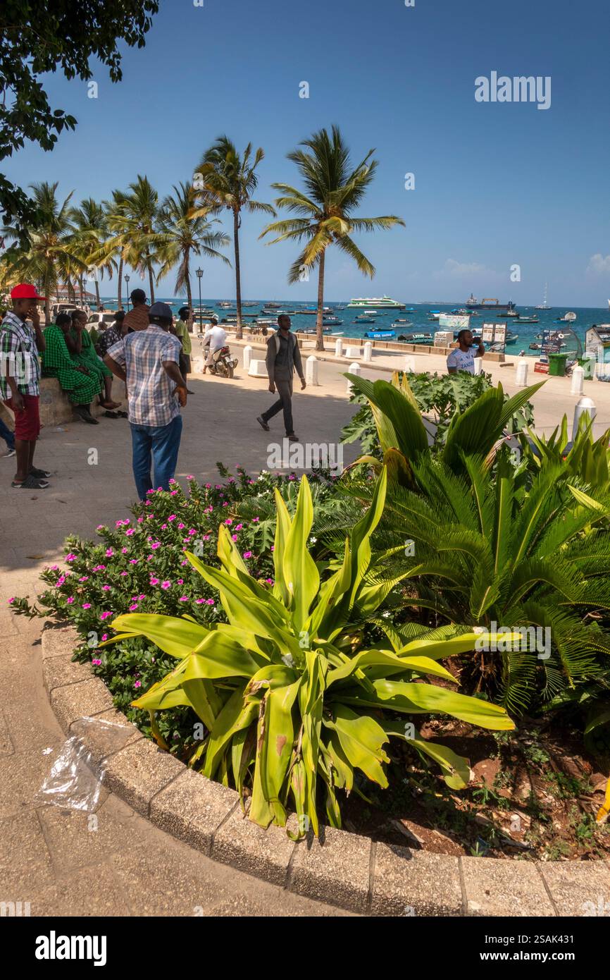Africa Tanzania, Zanzibar, Stonetown, seafront, Mizingani Road Stock ...
