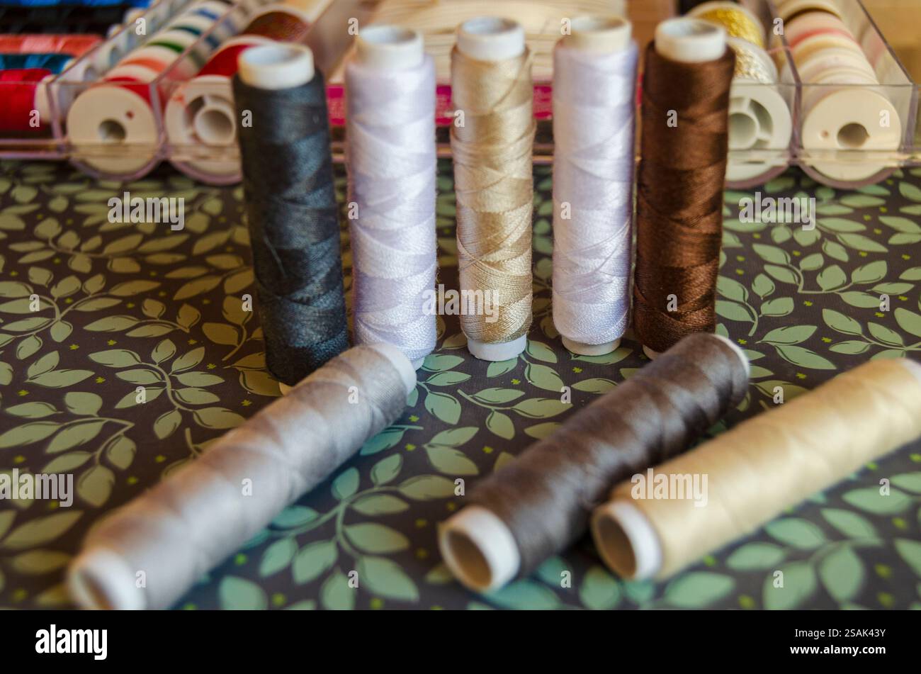 Reels of different coloured thread on a green floral background Stock ...