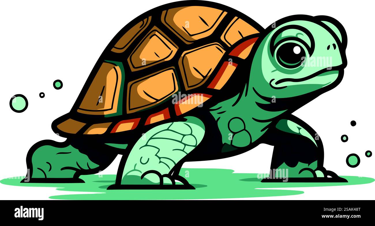 Cartoon turtle. Vector illustration. Isolated on white background Stock ...