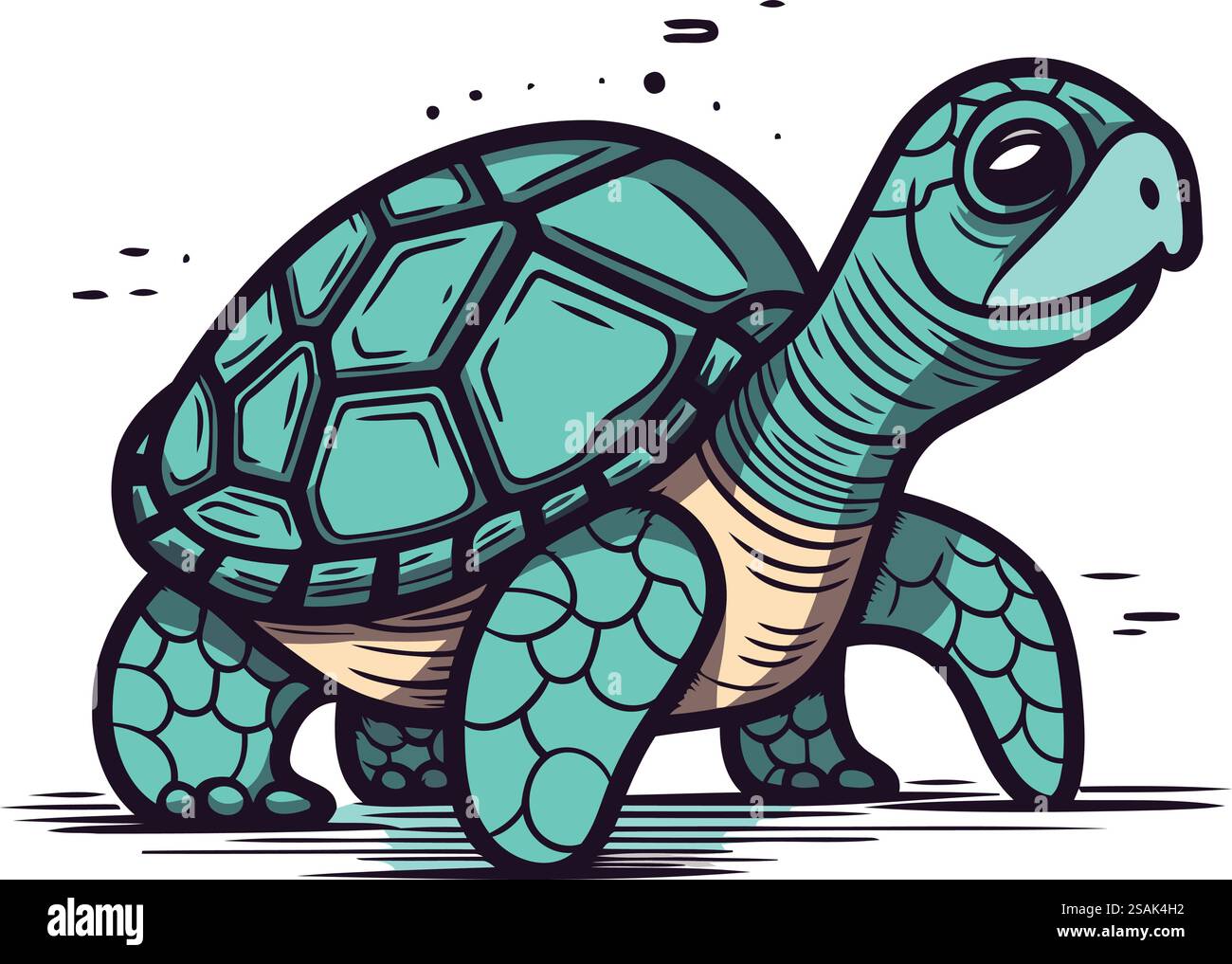 Turtle vector illustration isolated on white background. Hand drawn ...