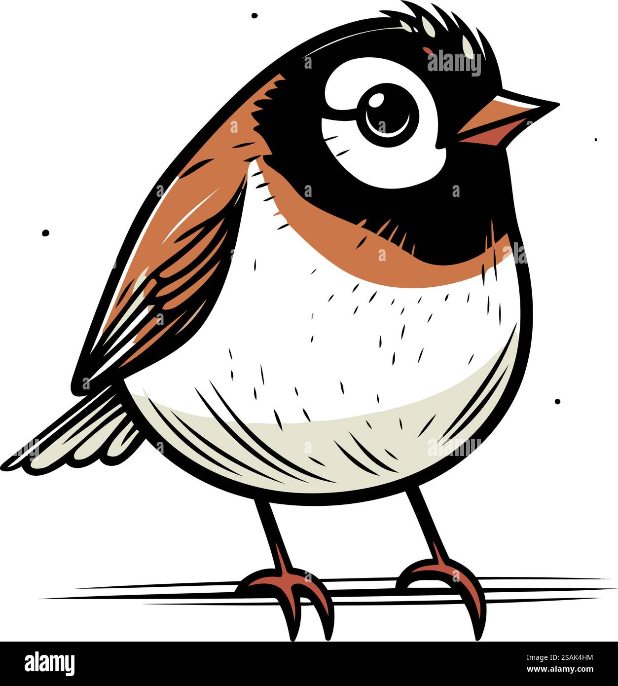Chaffinch bird. Hand drawn vector illustration isolated on white ...