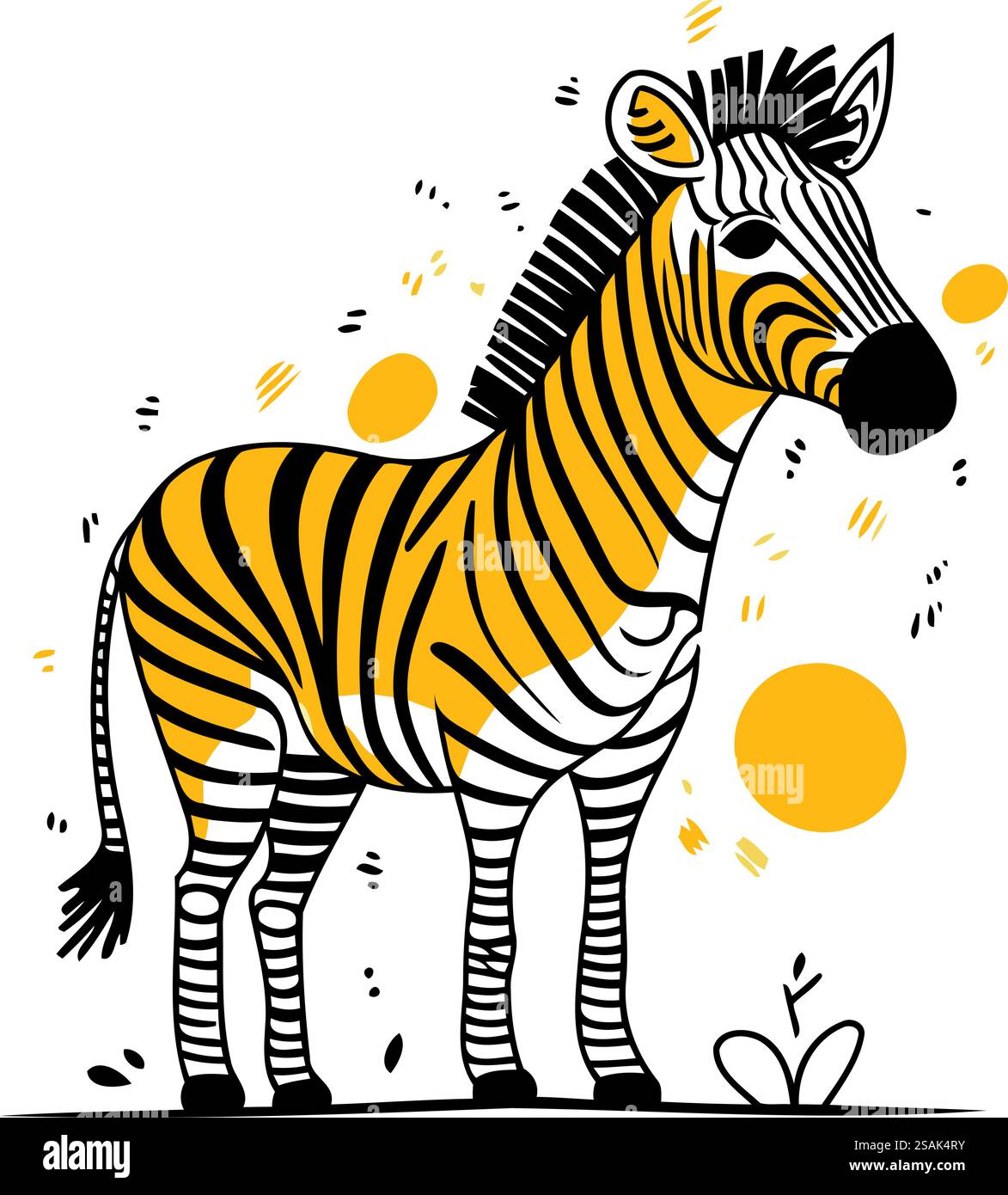 Zebra. Hand drawn vector illustration. Isolated on white background ...