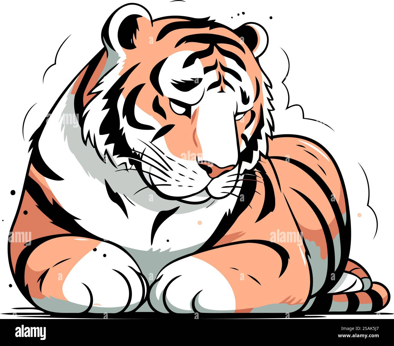 Vector illustration of a tiger. Isolated on a white background Stock ...