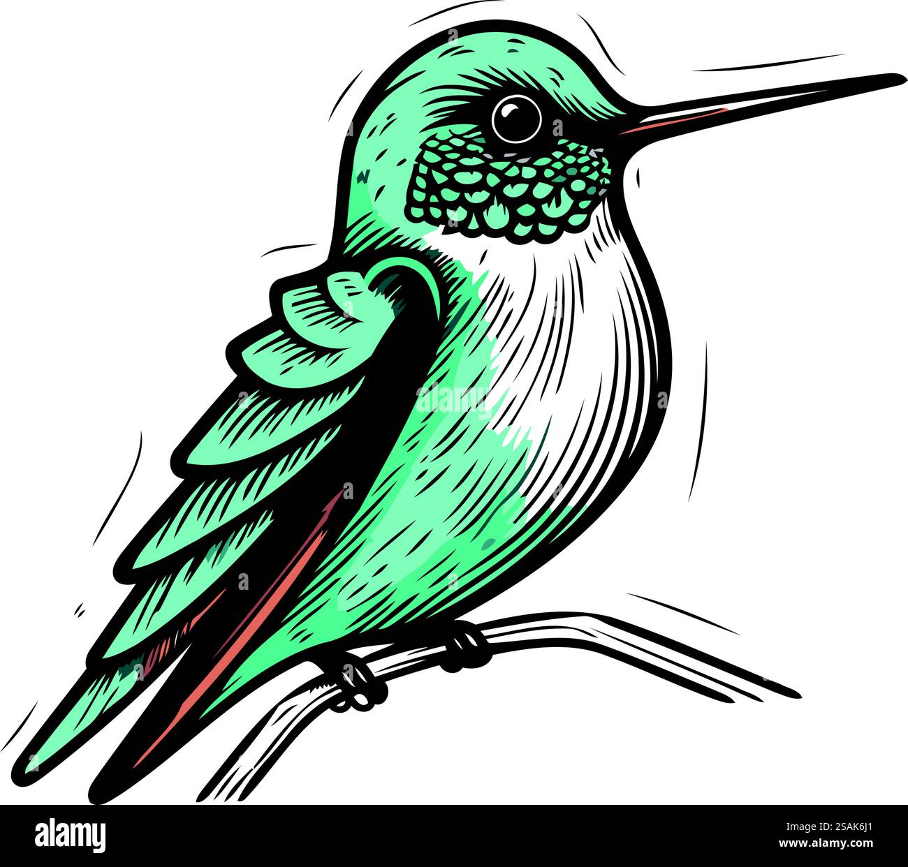 Hummingbird sitting on a branch. Hand drawn vector illustration Stock ...