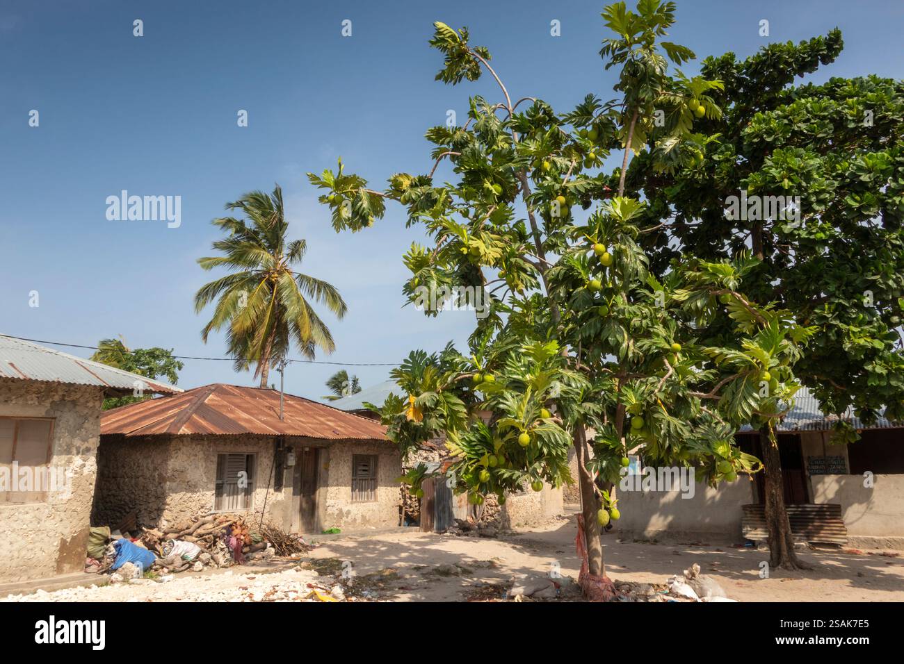 Zanzibar local scene hi-res stock photography and images - Alamy