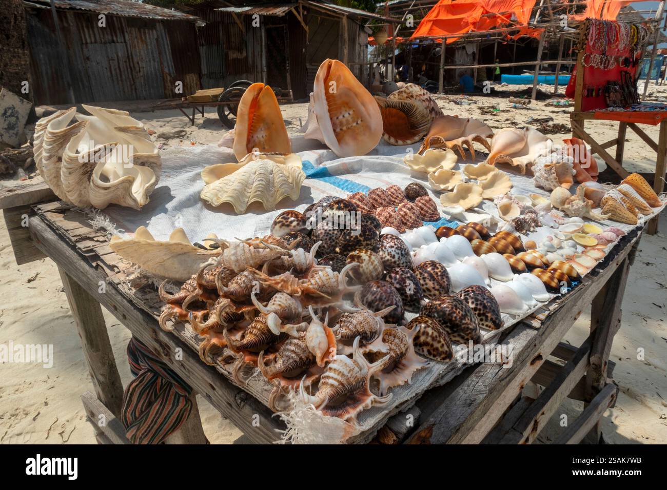 Africa Tanzania, Zanzibar, Nungwi, Lighthouse Beach, shell souvenir ...