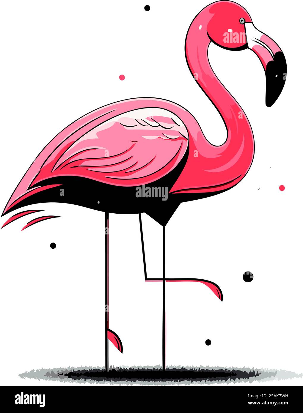 Flamingo. Hand drawn vector illustration isolated on white background ...