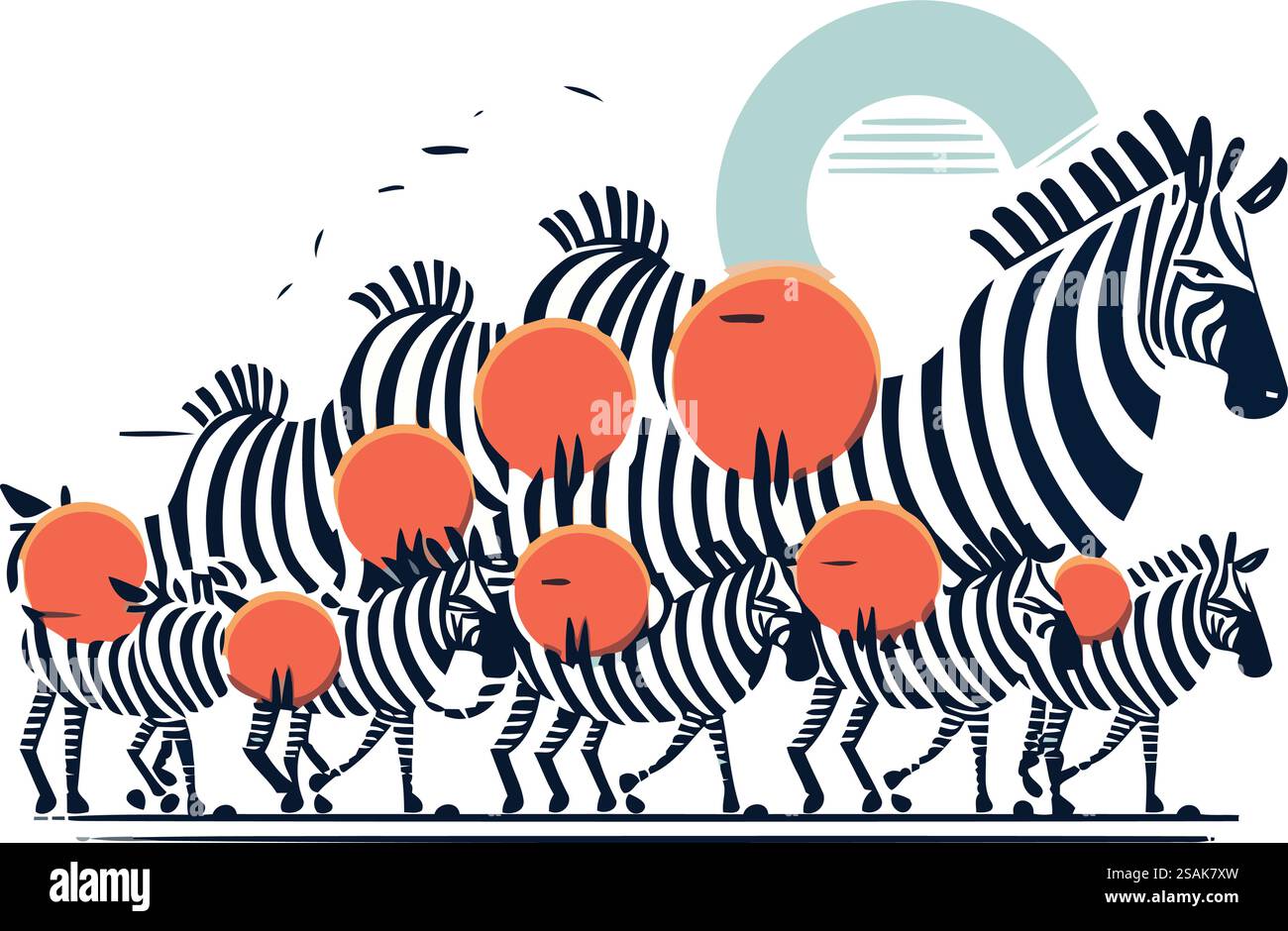 Zebra family. zebra family. vector illustration on white background ...