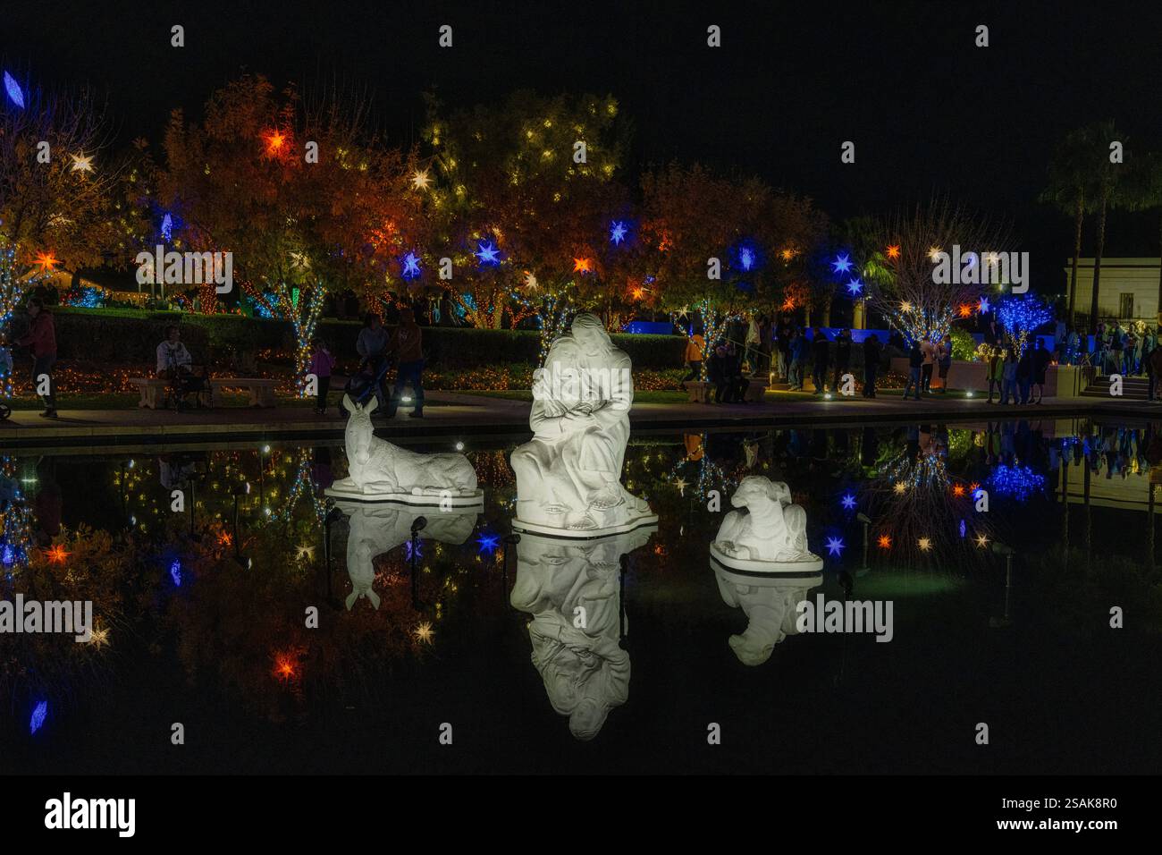 Christmas lights surrond a Christmas nativity scene in a reflection ...