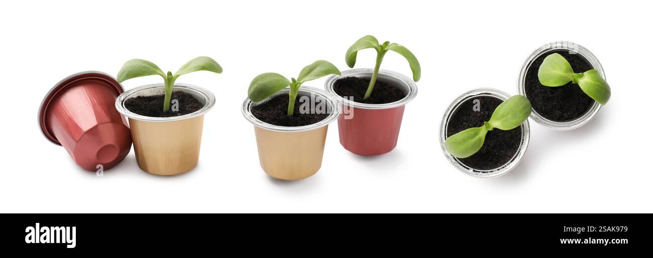 Coffee capsules with green sprouts isolated on white, collage Stock ...