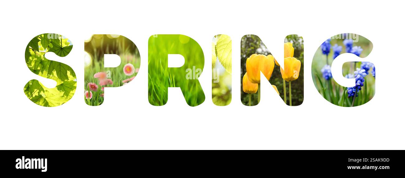 Spring word with seasonal plants inside letters on white background ...