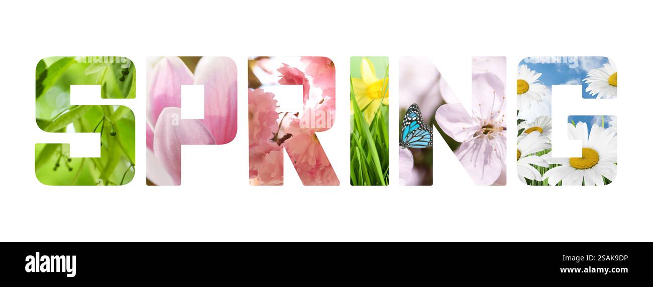 Spring word with seasonal plants inside letters on white background ...