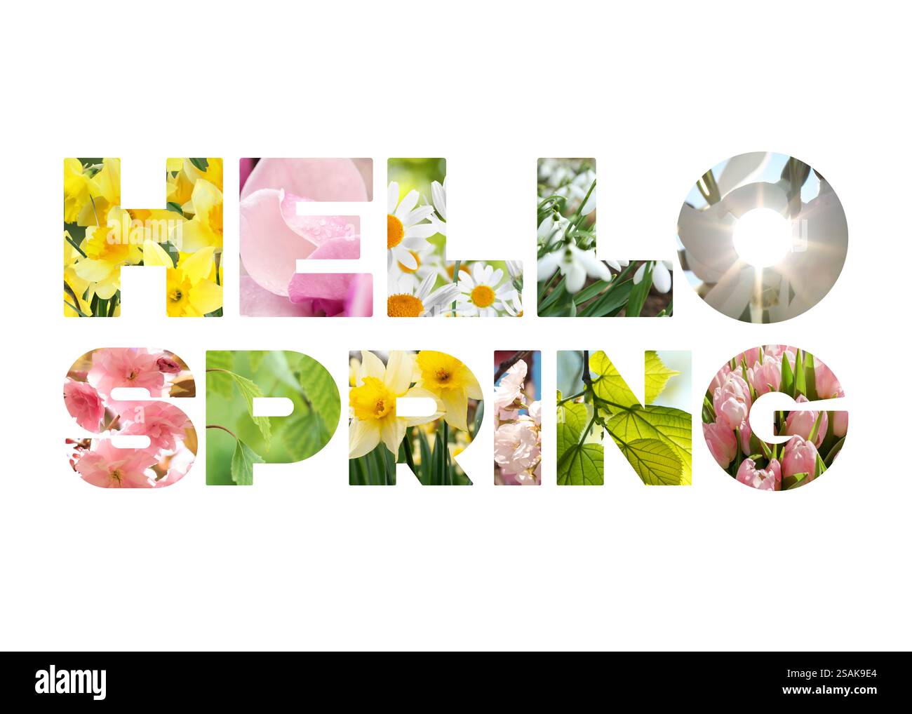 Hello spring card with seasonal plants inside letters on white ...