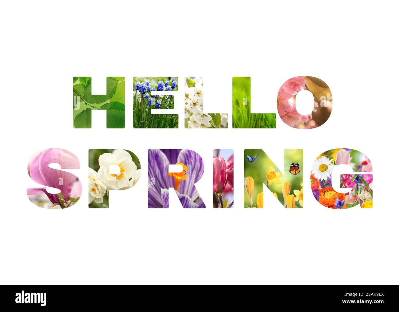 Hello spring card with seasonal plants inside letters on white ...