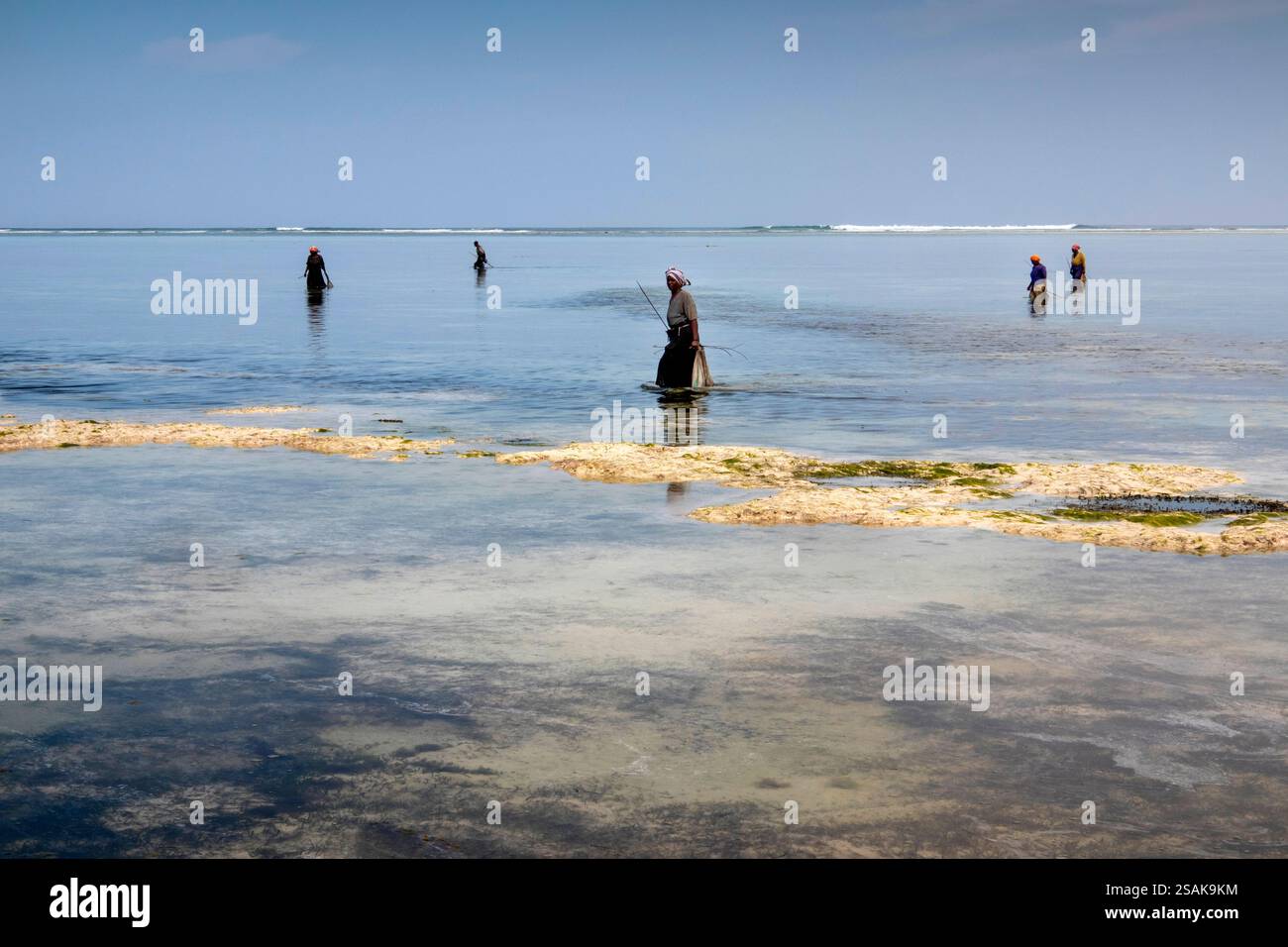 Africa Tanzania, Zanzibar, East Coast, Matemwe, beach, women fishing ...