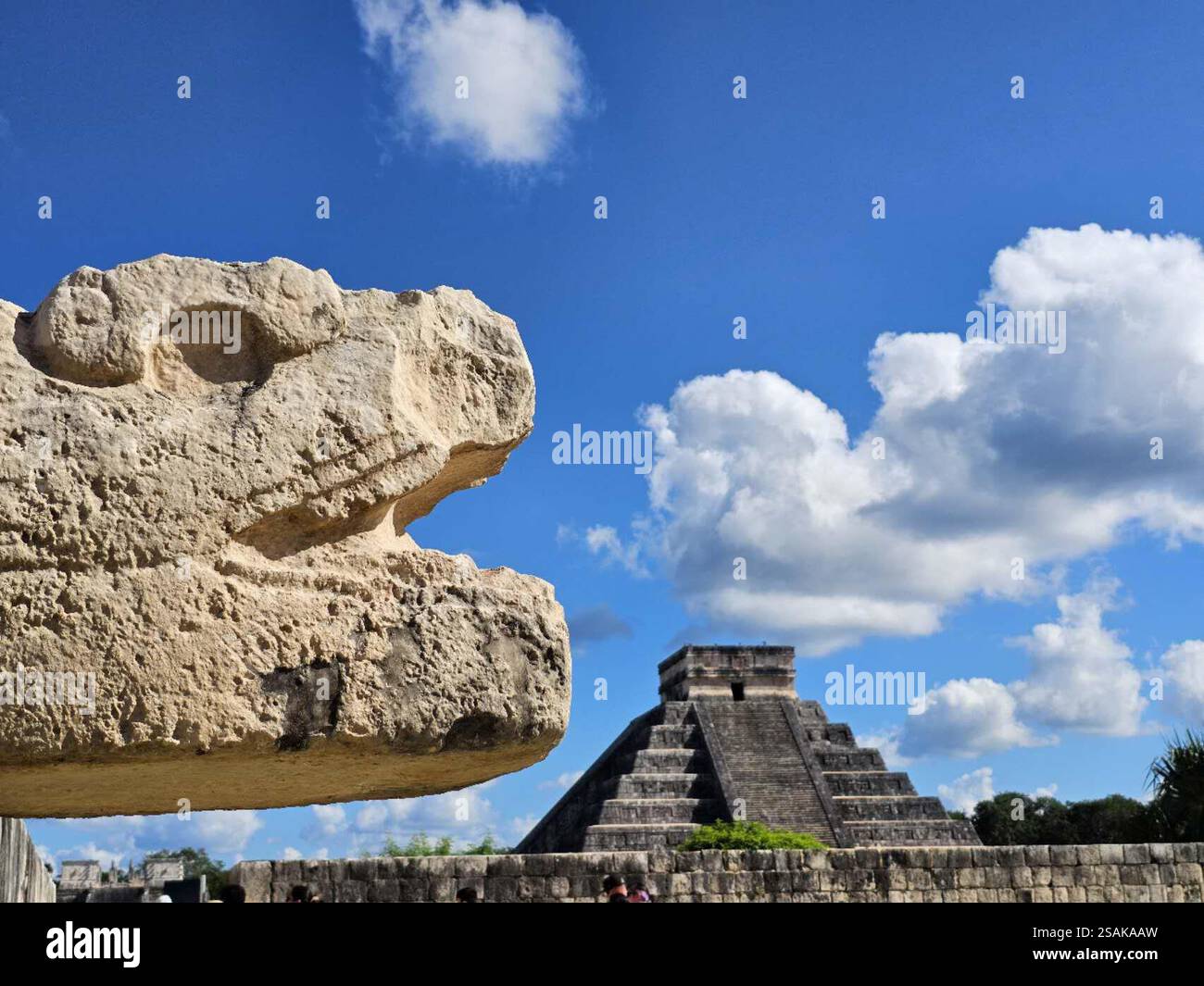 (250130) -- MEXICO CITY, Jan. 30, 2025 (Xinhua) -- This photo taken on ...