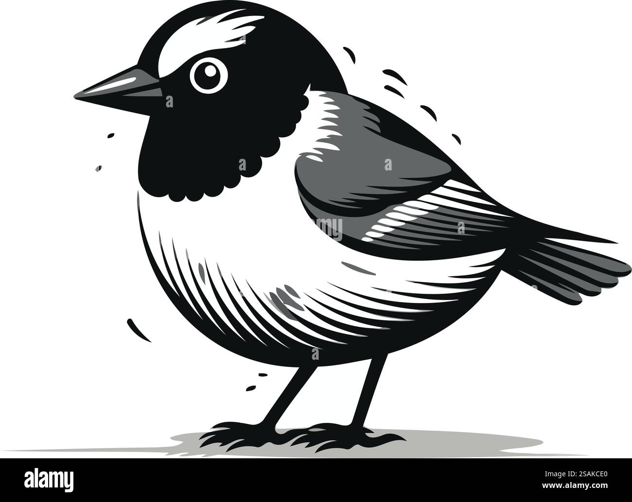 Vector illustration of a cute cartoon bird. Black and white color Stock ...