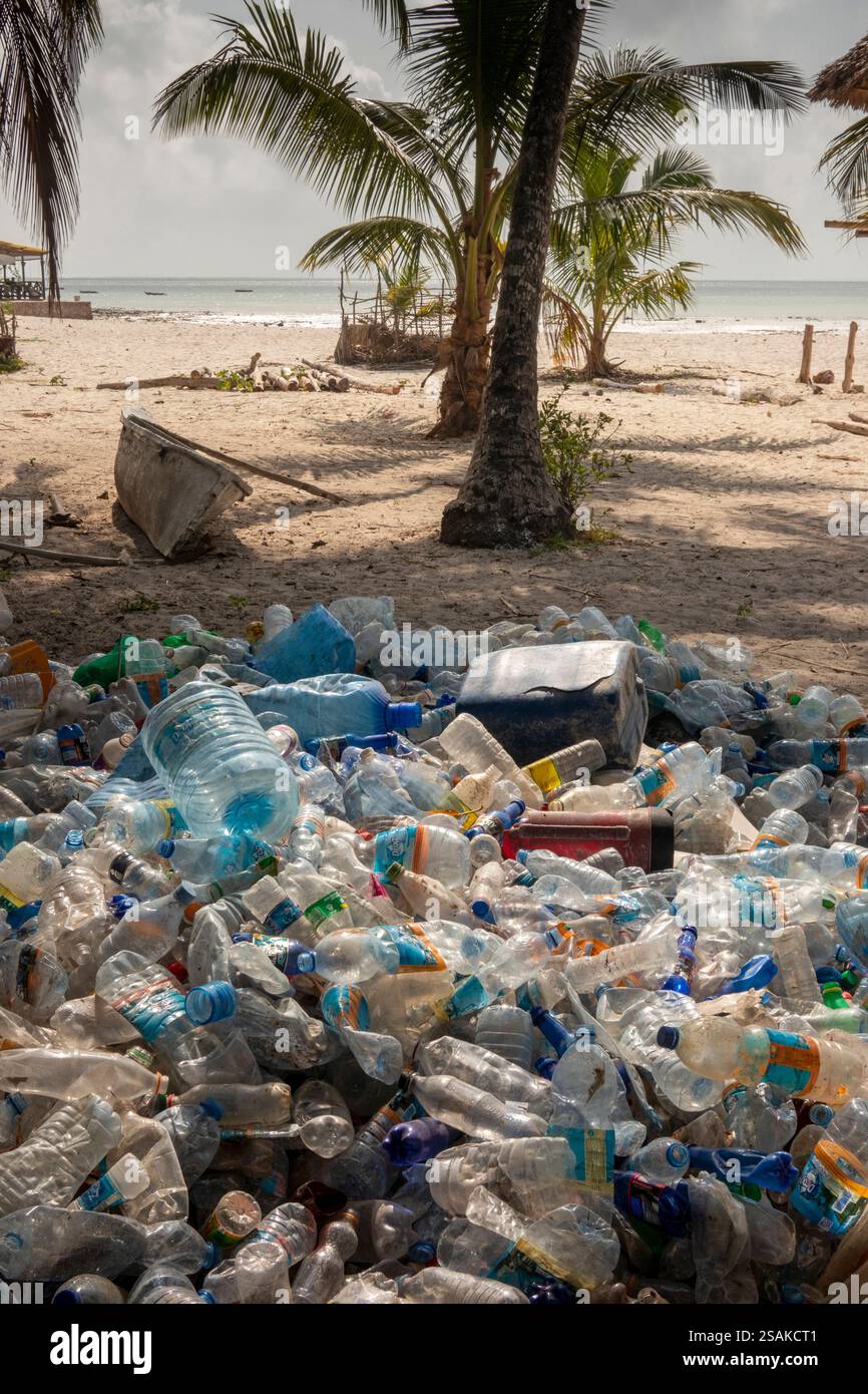 Africa Tanzania, Zanzibar, East Coast, Pongwe, beach, environment ...