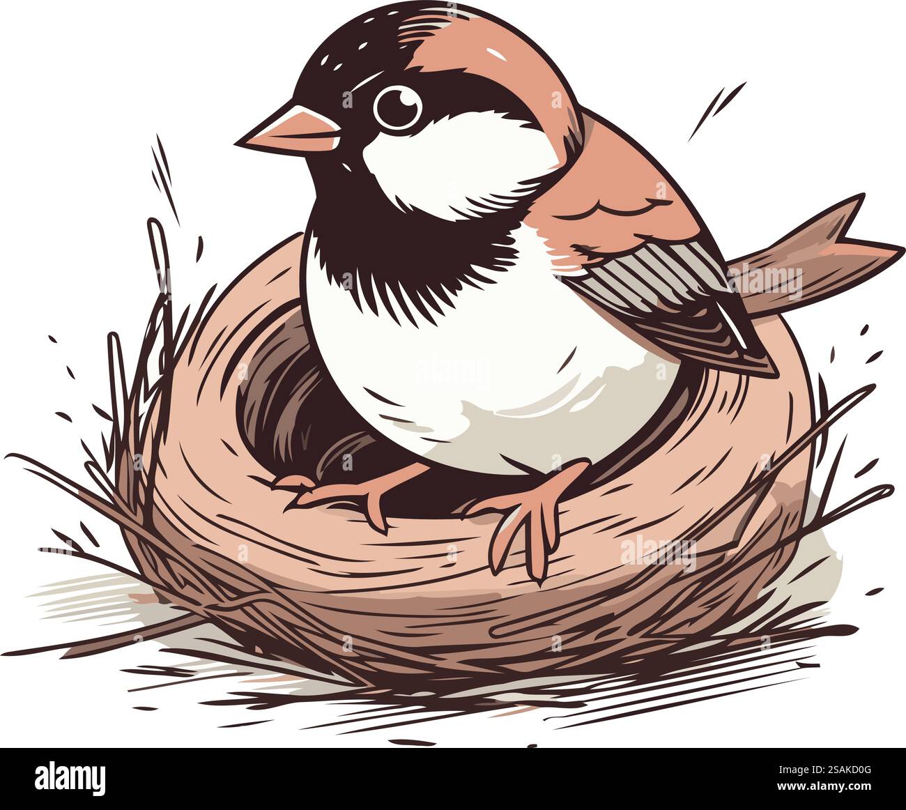 Sparrow in the nest. Vector illustration of a bird Stock Vector Image ...