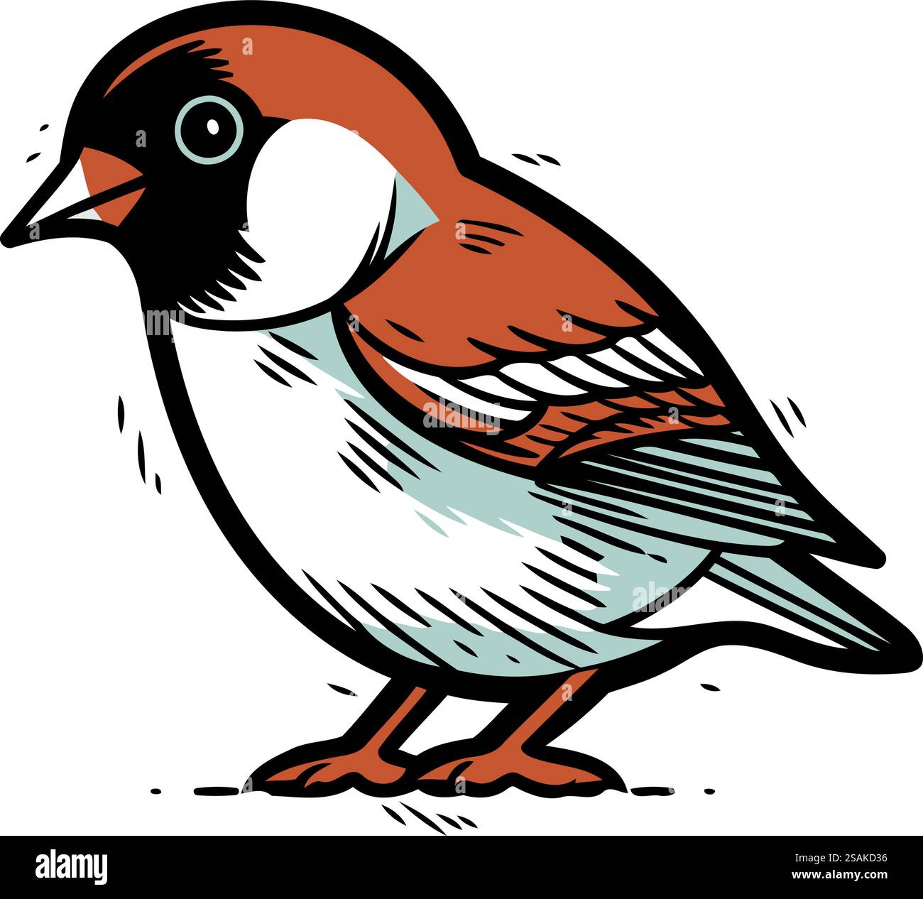 Sparrow. Hand drawn vector illustration. Isolated on white background ...