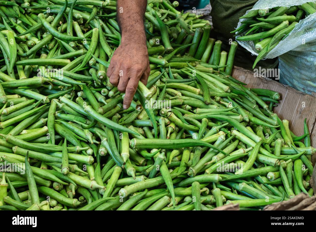 Hand of a vendor picking okra in a basket. Fruits that have seeds ...