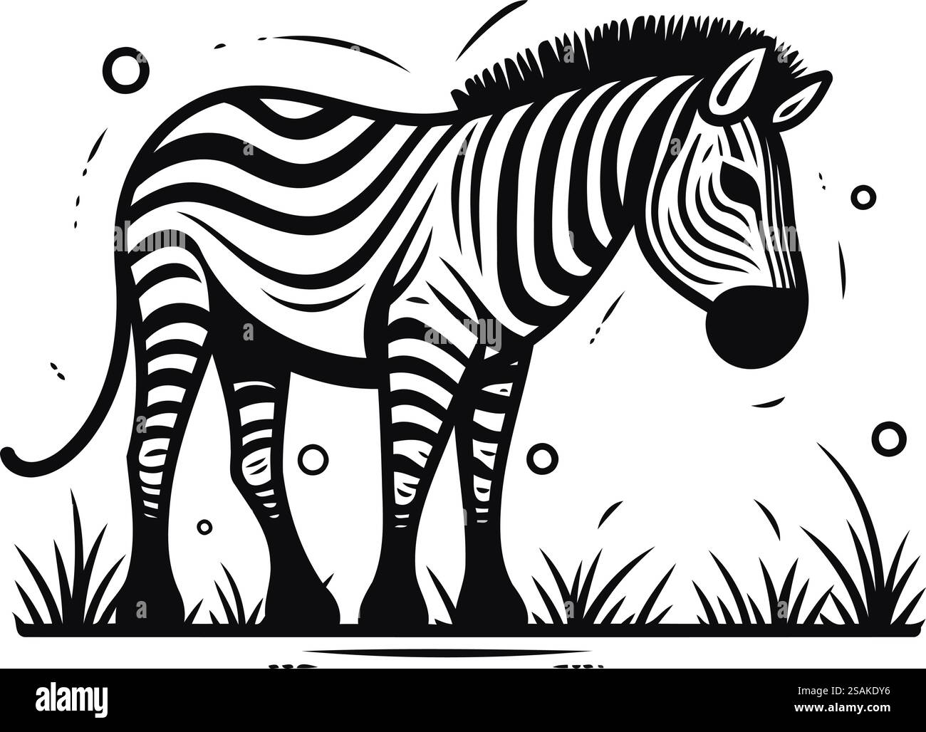 Zebra on white background. Vector illustration in black and white ...