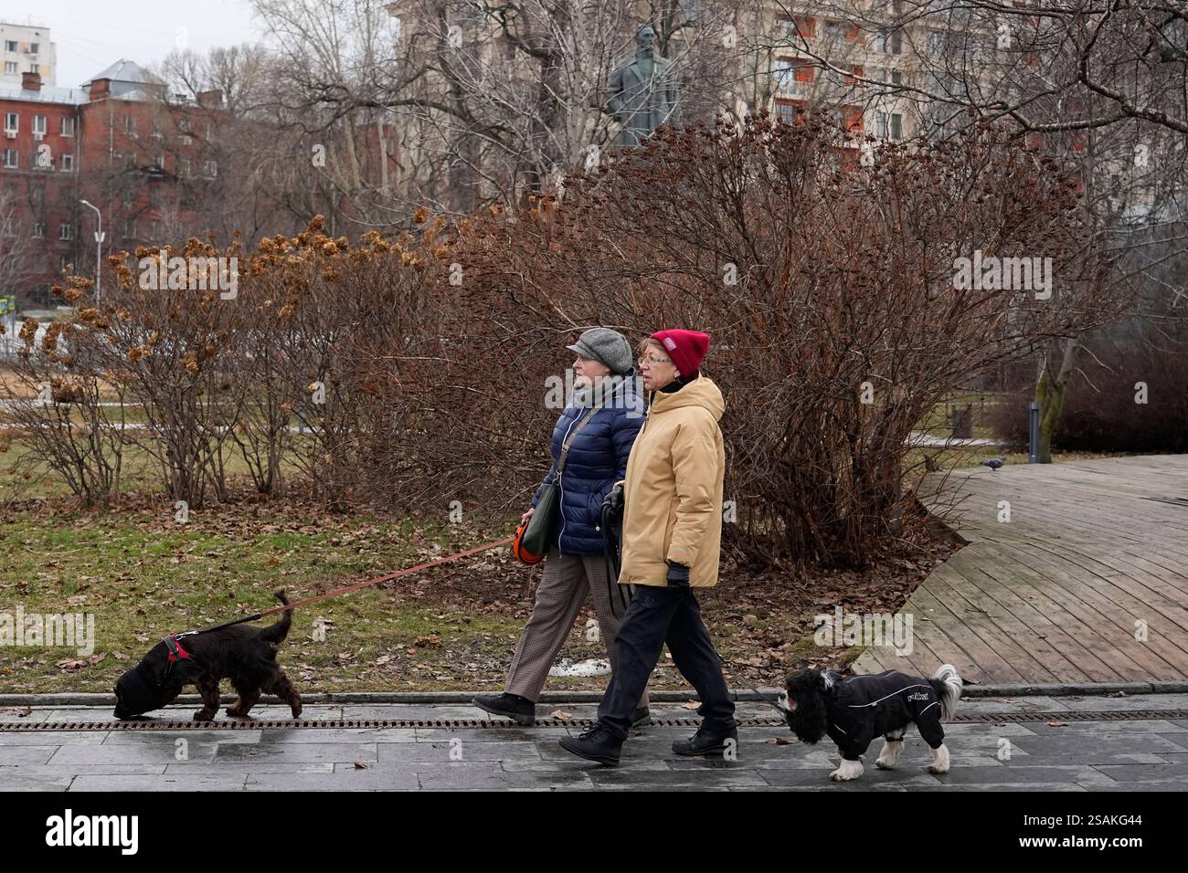 Women walk with their cocker spaniel dogs at Muzeon park in Moscow ...